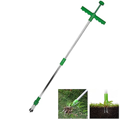 New Upgrade Standing Plant Root Remover with 3 Stainless Steel Claws ...