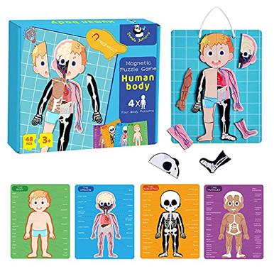Panda Juniors Human Body Magnetic Puzzle Game Puzzle Games for Kids 3 ...