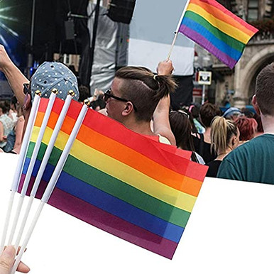 12 Pack Hand Held Small Mini Flag Rainbow LGBTQ Pride Flag, Vertical ...