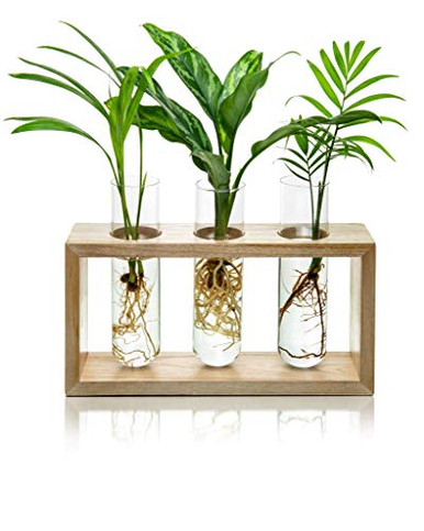 Grow Margo Large Wall Hanging Planter Propagation Station - 3 Test ...
