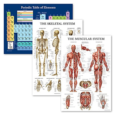 3 Pack - Periodic Table of the Elements Poster [Dark Blue- plus ...