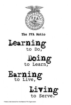 Ffa Motto Sticker Sheet - Warehousesoverstock