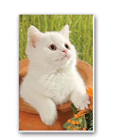 Springbok Kittens Bridge Tally Sheets - Warehousesoverstock