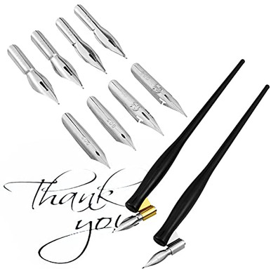 2 Sets/ 10 Pieces Dip Pen Set Include 2 Pieces 2-in-1 Calligraphy ...