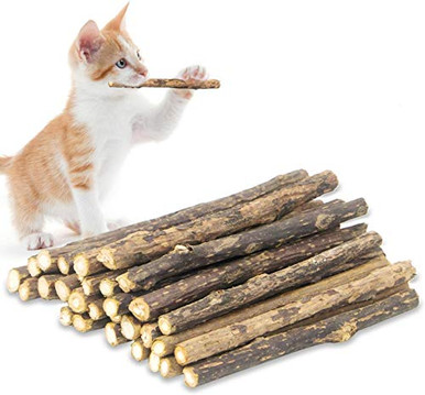 QUTOP 24 Pcs Matatabi Cat Stick, Natural Silvervine Sticks for Cats ...