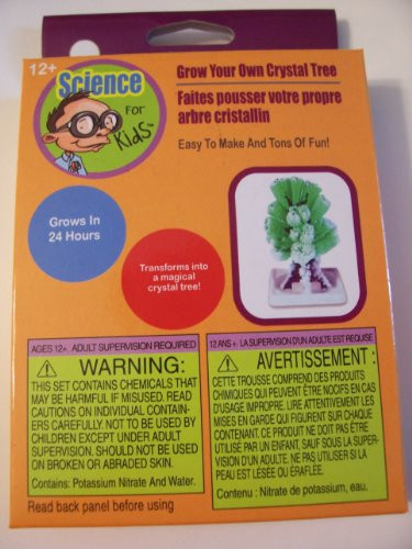 Science for Kids Thinking Cap Activities ~ Grow Your Own Crystal Tree ...