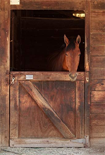 Yeele Western Old Stable Barn Backdrop Brown Bay Horse View Photography ...