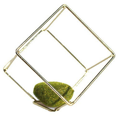 ChezMax Air Plant Stand Grass Tillandsia Container Metal Geometric Moss ...