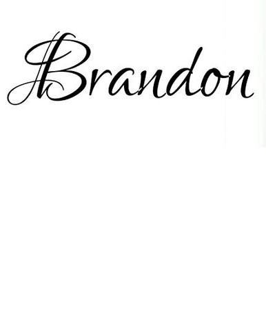Brandon Transfer tattoos tattooing temporary tattoos Cute Face tattoos ...