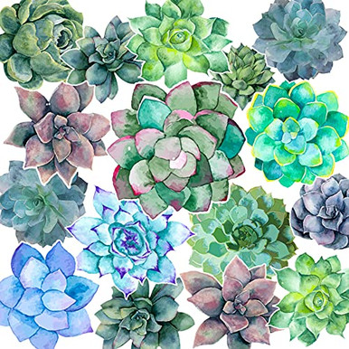60 Pieces Succulents Cut-Outs Watercolor Succulents Cutouts 12 Styles ...