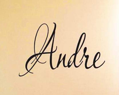 andre Transfer tattoos tattooing temporary tattoos Cute Face tattoos ...