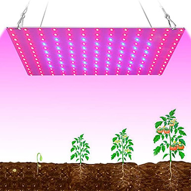 LED Grow Light with 169 Red and Blue LEDs Thin Full Spectrum Panel ...