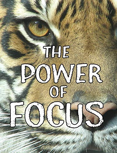 The Power of Focus - Empowering Motivational Poster - Warehousesoverstock