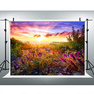 Photo Backdrop Nature 7x5ft Bright Sunlight Photo Background Floral ...