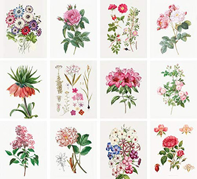 Vintage Posters Botanical Prints- Set of 12 8x10 Cottagecore Poster ...