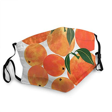 Adult Kids Cloth Face Mask Peach Harvest Fruit Aniti-Dust Adjustable ...