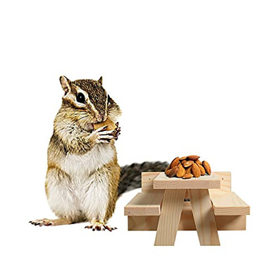 Mini Squirrel Picnic Table Feeder- Holds Corn Cobs for Squirrels ...