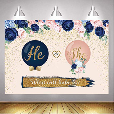 Sakurar He or She Backdrop Gender Reveal Party Backdrop Blue or Pink ...