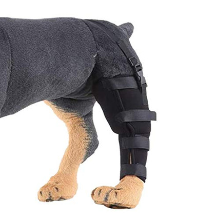 WXFEXIA Dog Rear Left Hind Leg Joint Brace - Canine Wrap Protects ...