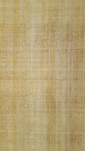Set 20 Egyptian Blank Papyrus Paper 8x6in -20x15cm- - Ancient Pharaoh ...