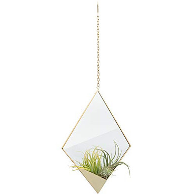 Bohemian Wall Mirror Decor, Boho Chic Gold Mirror with Air Plant Holder ...