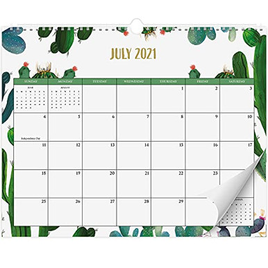 Aesthetic Cactus Wall Calendar - The Perfect Monthly Calendar for Easy ...