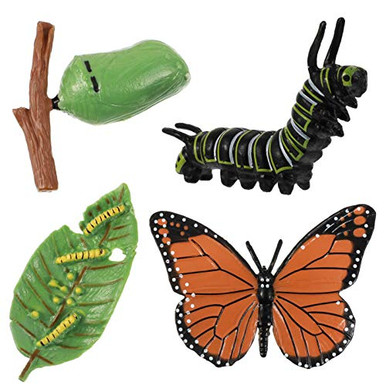 Cabilock 4pcs Life Cycle Figures of Butterfly Insect Biology Science ...