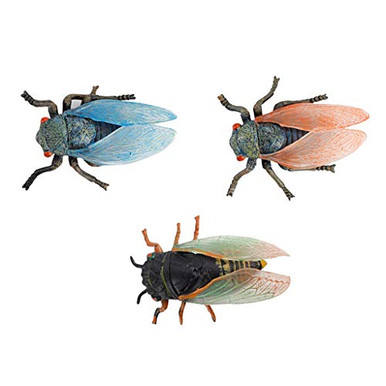 Tongina 3pcs Lifelike Insects Model Cicada Toys Figures Plastic Insects ...