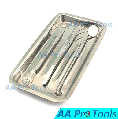 AA PRO 4PC Tray Stainless Dental Tool Set KIT Dentist Teeth Clean ...