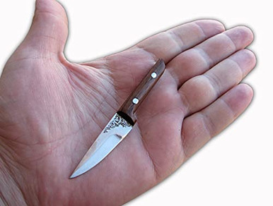Mini Camping Knife - Smallest Micro Pocket Knife Fixed Sheath Stainless ...