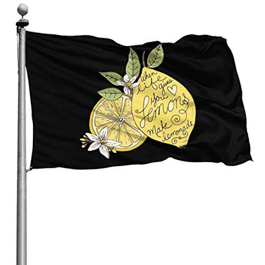 When Life Gives You Lemons, Make Lemonade Be Positive Garden Flag, 3x5 ...