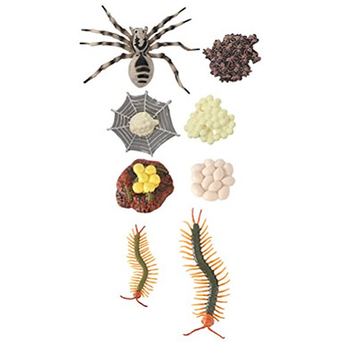 TOYANDONA 2 Sets Life Cycle of Centipede Tarantula Plastic Food Chain ...