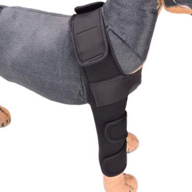 IETFULL Dog Rear Leg Braces -Long Version- Canine Hind Hock Wraps with ...