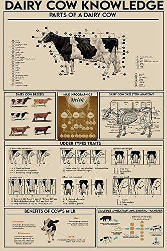 Cattle Knowledge Canvas Wall Art Farmer Dairy Cow Parts Breeds Milk ...