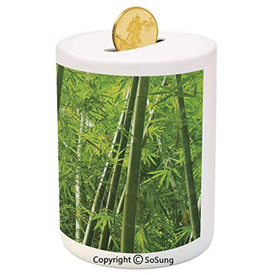 Bamboo Ceramic Piggy Bank,Exotic Tropical Bamboo Forest with Fresh ...