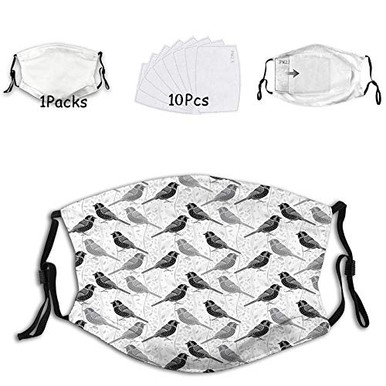 1 mask with 10 filters Activated carbon mask Facial decorations for ...