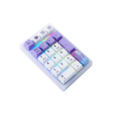 BOYI TD21 Hot Swappable Numpad,21 Keys Mini Numpad Portable Keypad ...