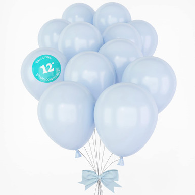 HOUSE OF PARTY Pastel Blue Balloon Garland Kit 100Pcs - 12 Inch Single ...