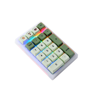 BOYI TD21 Hot Swappable Numpad,21 Keys Mini Numpad Portable Keypad ...
