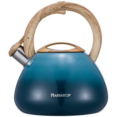 Tea Kettle Whistling Stainless Steel Teapot for Stovetop Induction ...