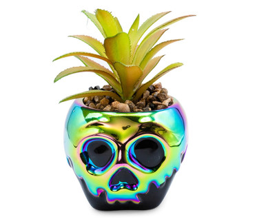 Disney Villains Evil Queen Poison Apple Ceramic Planter with Artificial ...