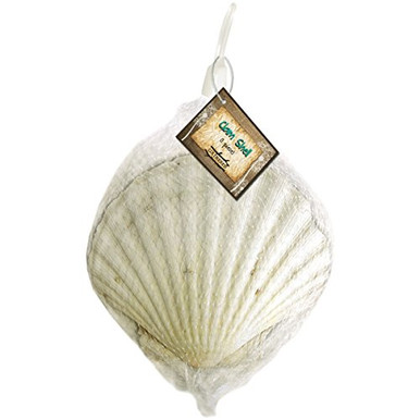 Gathered, by BCI Crafts Bottle Cap, Clam Shell - Warehousesoverstock