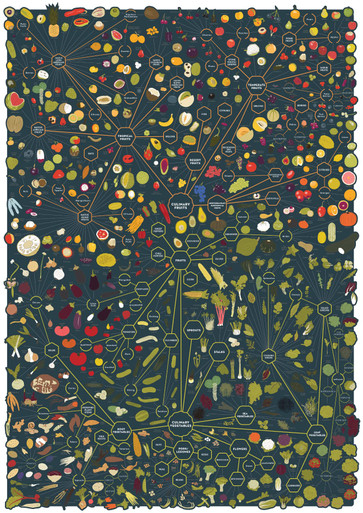 Pop Chart | The Taxonomy of Fruits and Vegetables | 24" x 36" Large ...