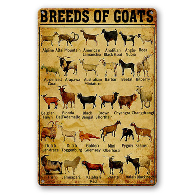Goat Knowledge Metal Tin Sign Breeds Of Goats Learning Poster Library ...