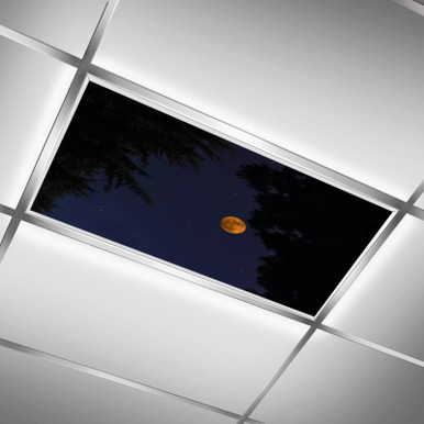 Moon Over The Forest,Black Yellow,Light Diffusers,Fluorescent Light ...