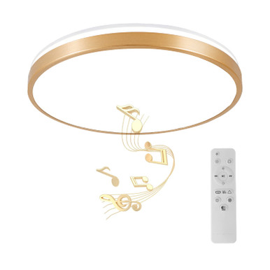LED Ceiling Light Fixture with Remote Control, Gold Ceiling Light with ...