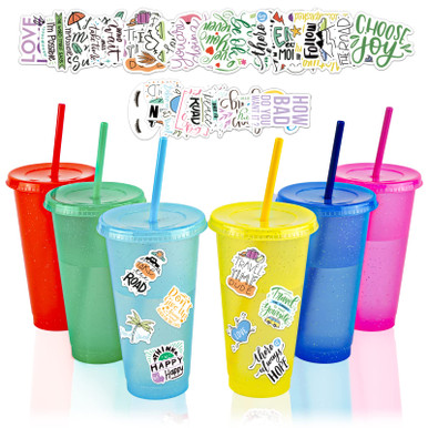 DailyRest 6 Pack Plastic Cups with Lids and Straws, 24 oz Glitter ...