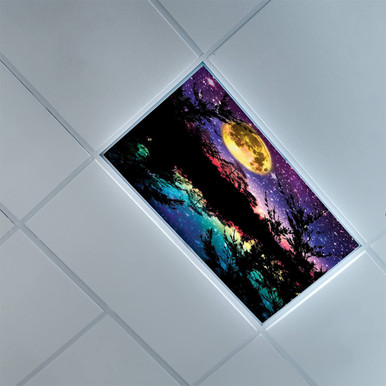 Fluorescent Light Covers for Ceiling Light Diffuser Panels-Purple ...