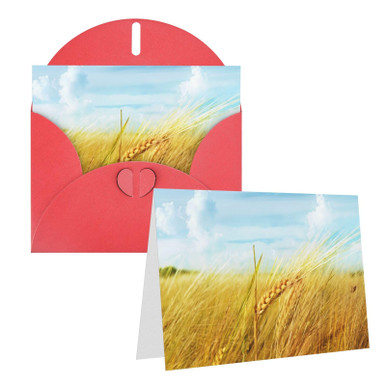 TOMPPY Greeting Cards Paddy Rice Field Printed Blank Cards With ...