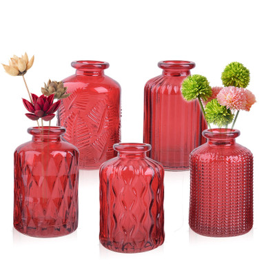 ELEGANTTIME Set of 5 Glass Small Bud Vase red Vase for Centerpieces ...
